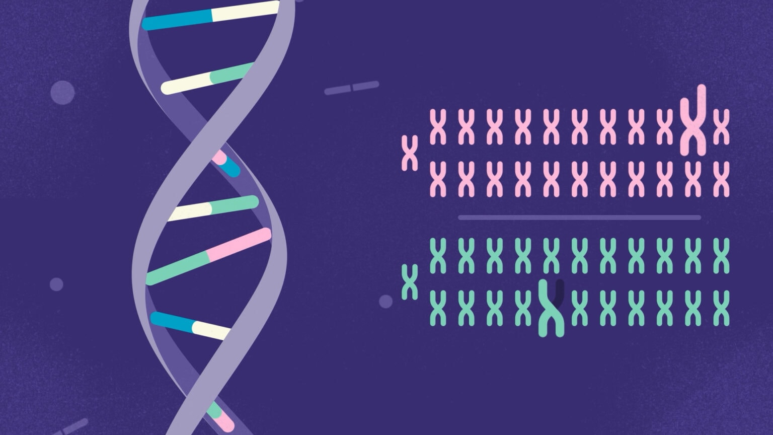 Explainers | LNC Productions